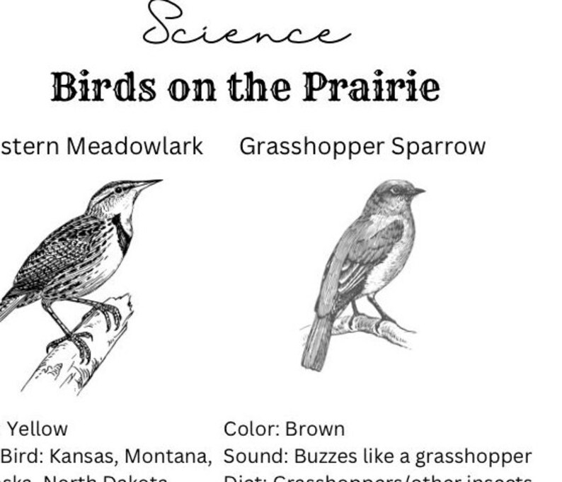 Prairie Day Little House on the Prairie Homeschool Charlotte Mason ...