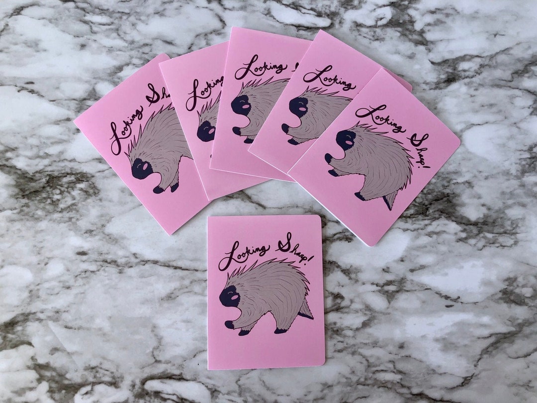 Porcupine Notecard Set, Looking Sharp Greeting Card Set, Blank Greeting ...