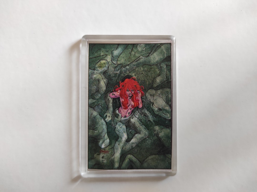 Red Sonja Water Fridge Magnet Mini Frame Unique Recycled - Etsy