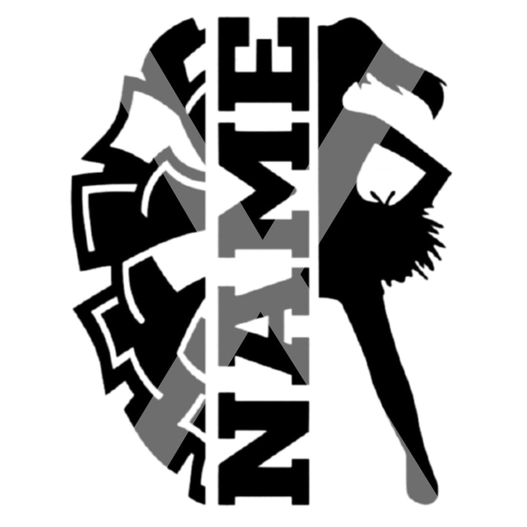 Cheerleading Decal, Vinyl Decal, Personalized Cheer Decal, Name Sticker ...