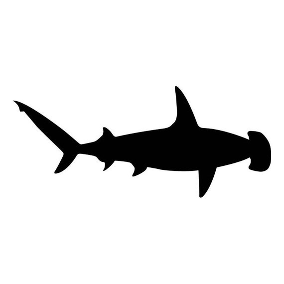 Hammerhead Vector