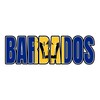 Barbados Flag SVG PNG Bajan Bundle Barbadian Flag Caribbean American ...