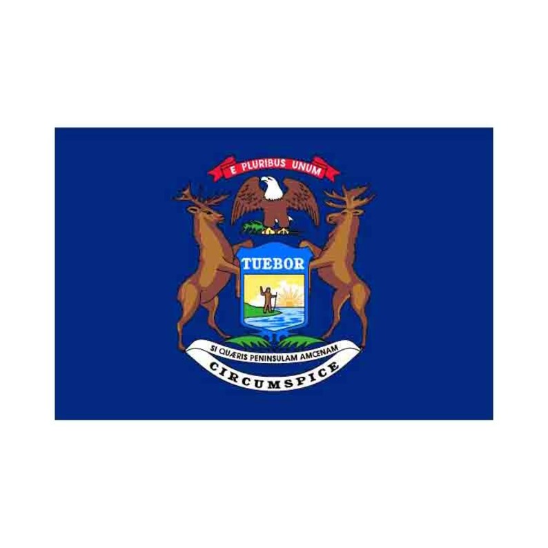 Michigan State Flag Vector Graphic, Vinyl Cutter Ready (digital ...
