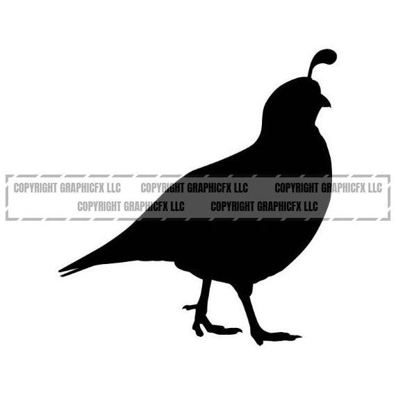 Quail Bobwhite .eps .svg .dxf & 1 .png Vinyl Cutter Ready | Etsy