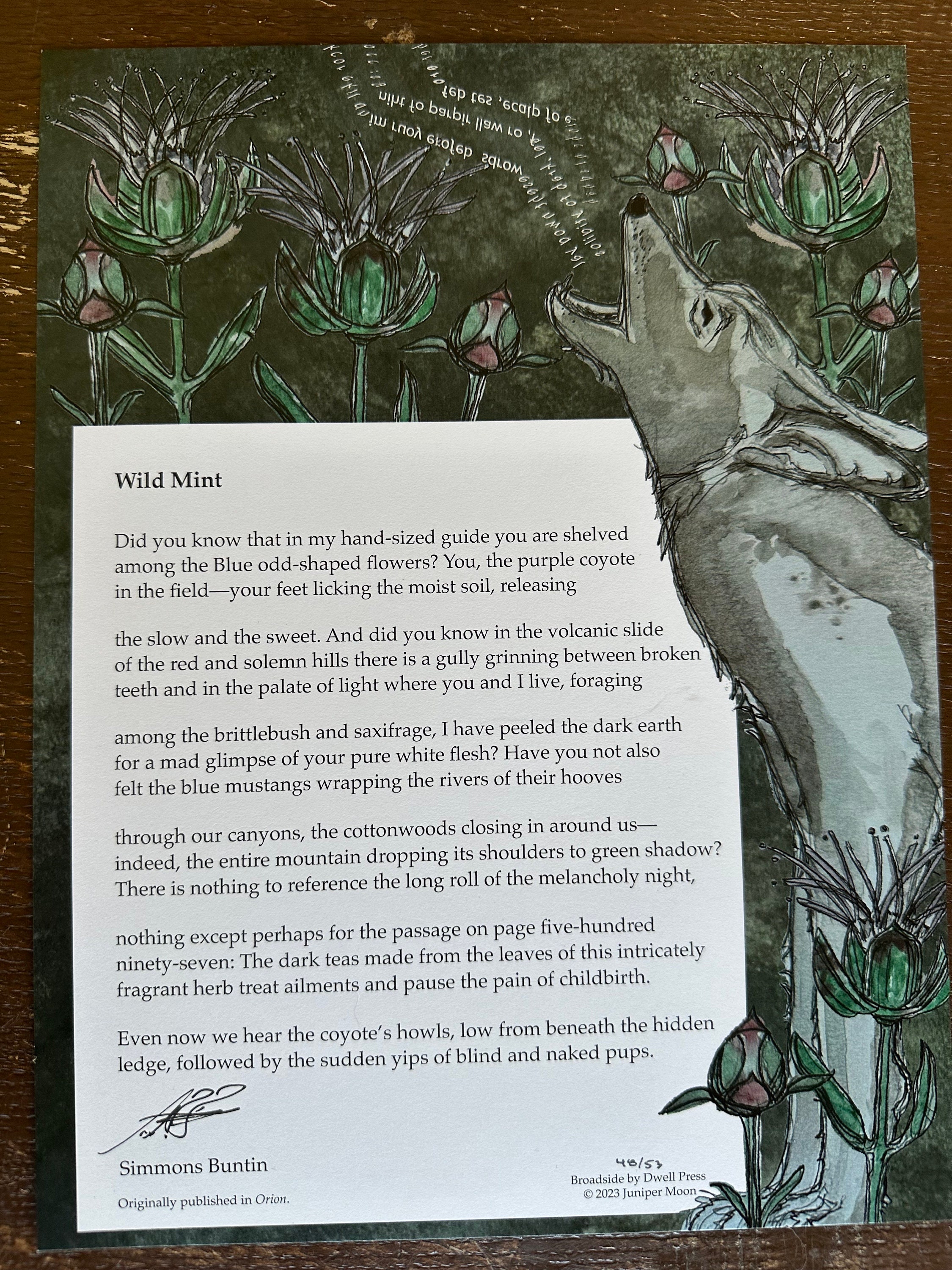 Wild Mint - Poetry Broadside - Simmons Buntin - Etsy