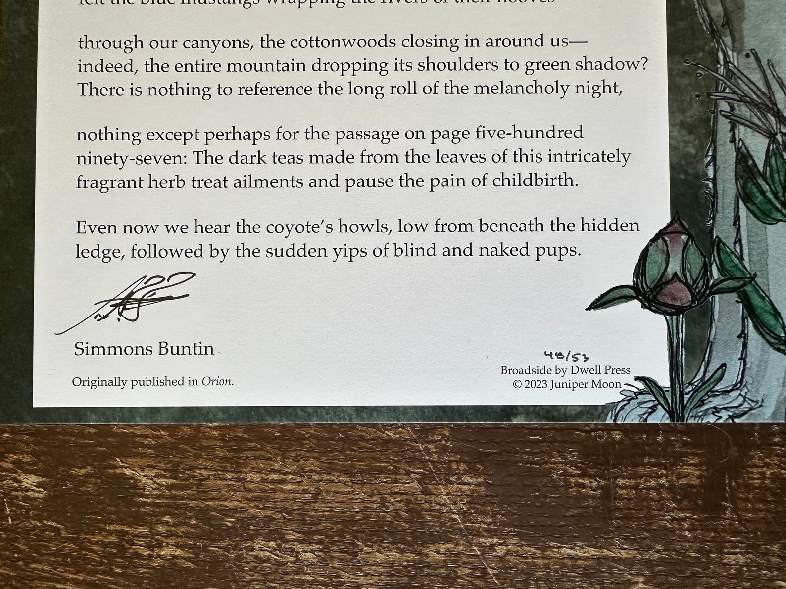 Wild Mint - Poetry Broadside - Simmons Buntin - Etsy