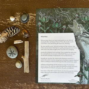 Wild Mint - Poetry Broadside - Simmons Buntin - Etsy