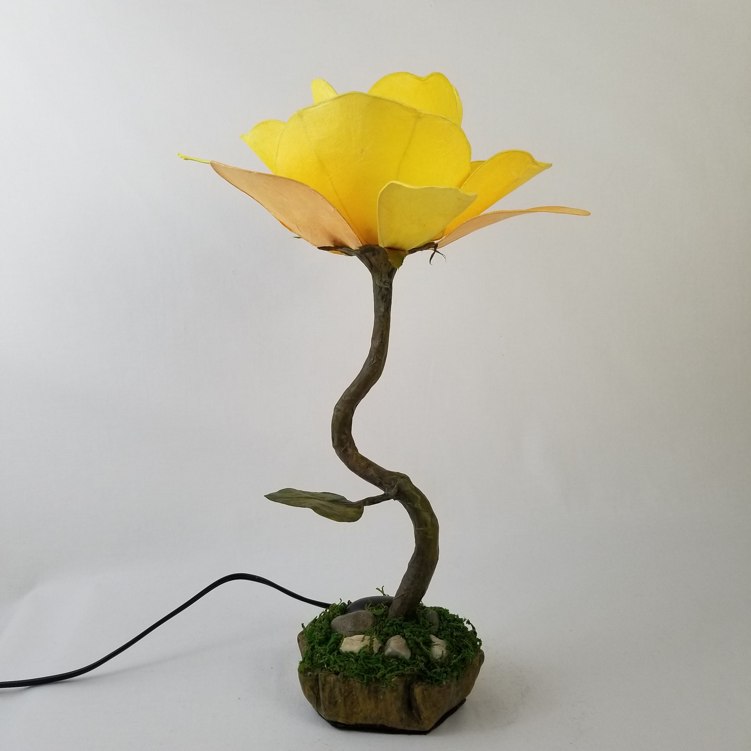 Poppy Table Lamp Homebase at Pam Calhoun blog