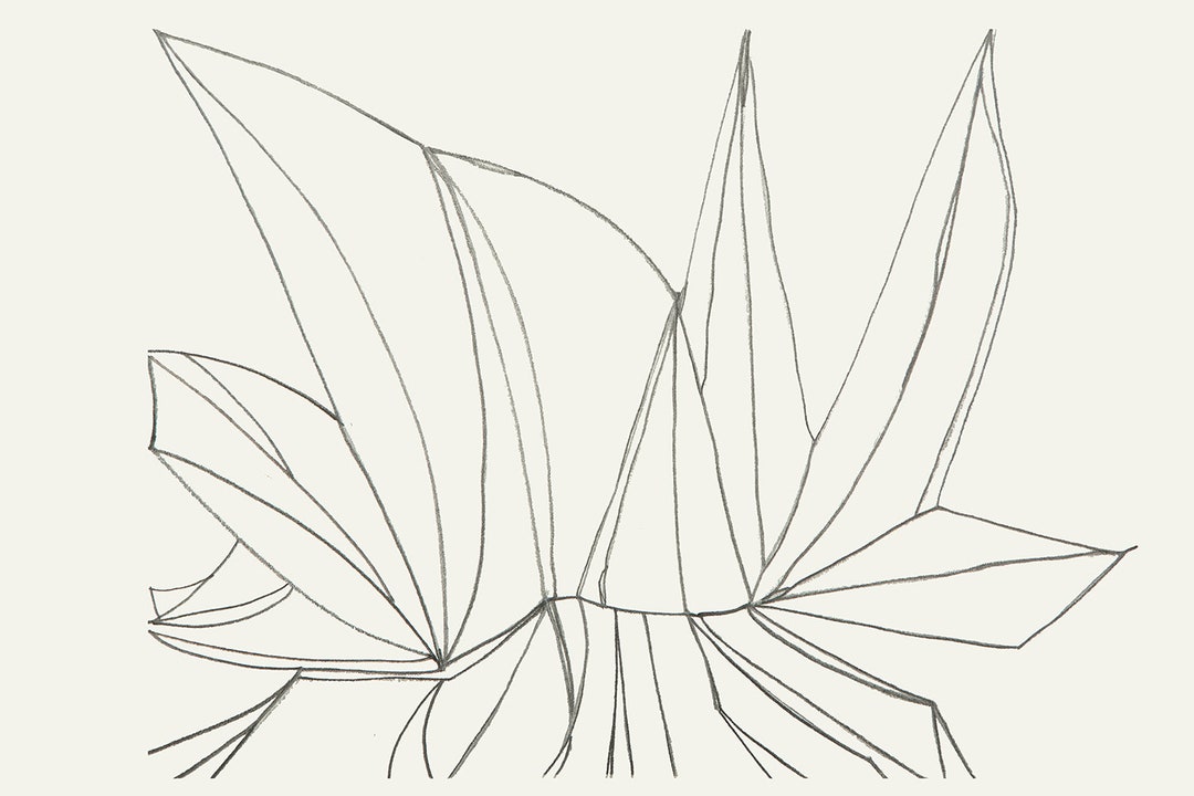 Line Drawing Agave Abstract. Botanical, Cactus, Modern Art Print, Black ...