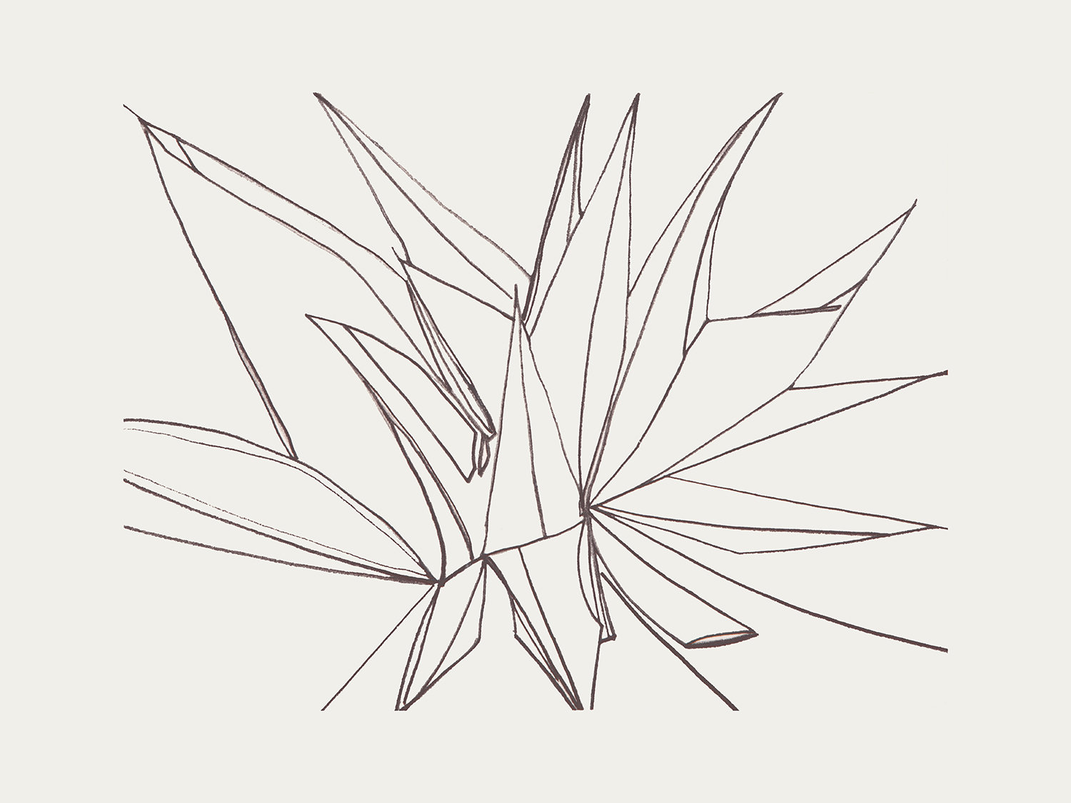 Line Drawing Agave Abstract 2 Botanical Cactus Modern Art - Etsy