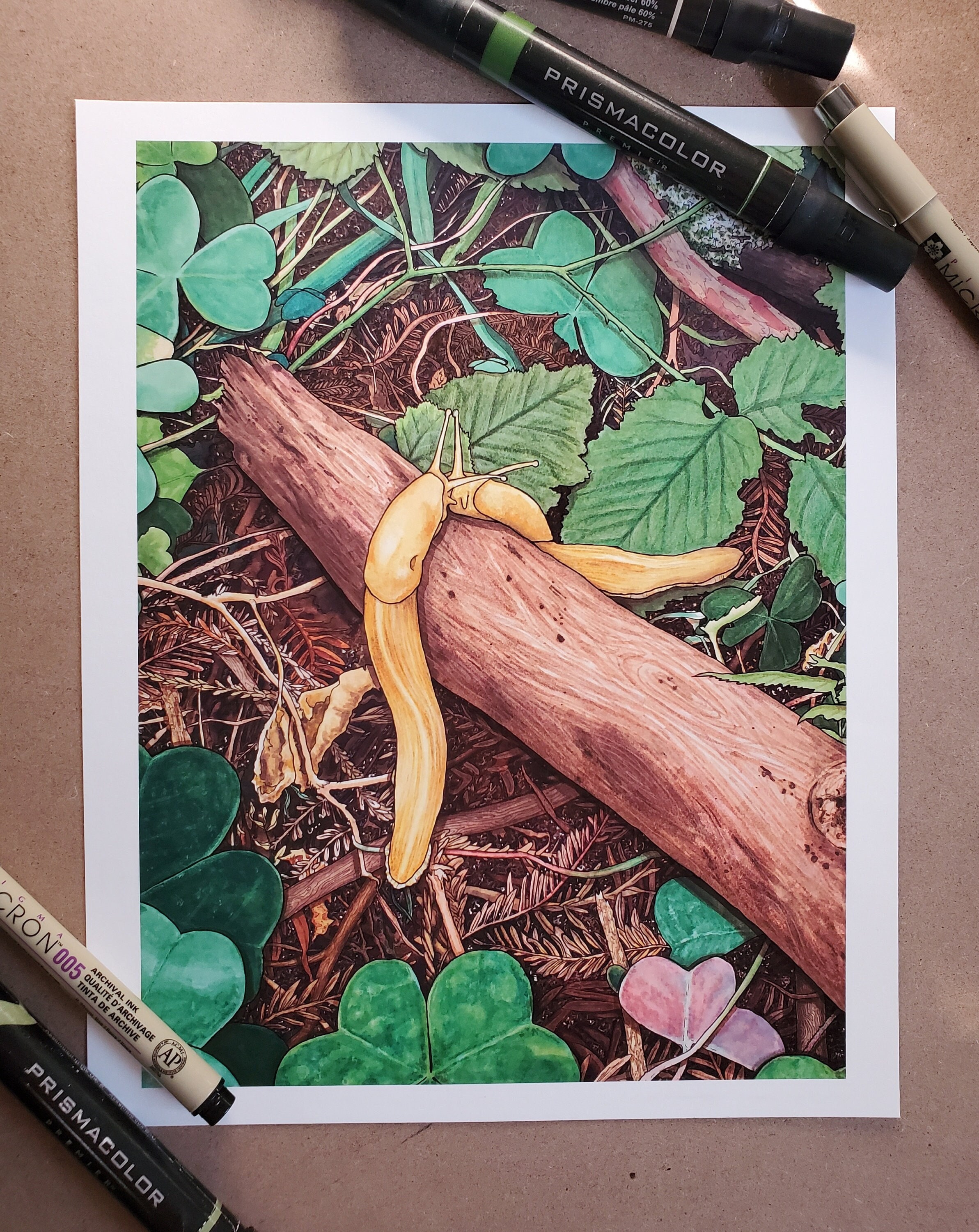Banana Slug Drawing