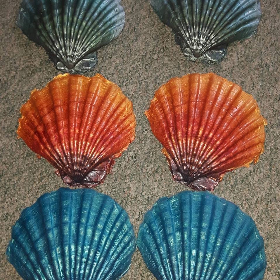 Silicone Lion Paw Shells - Etsy