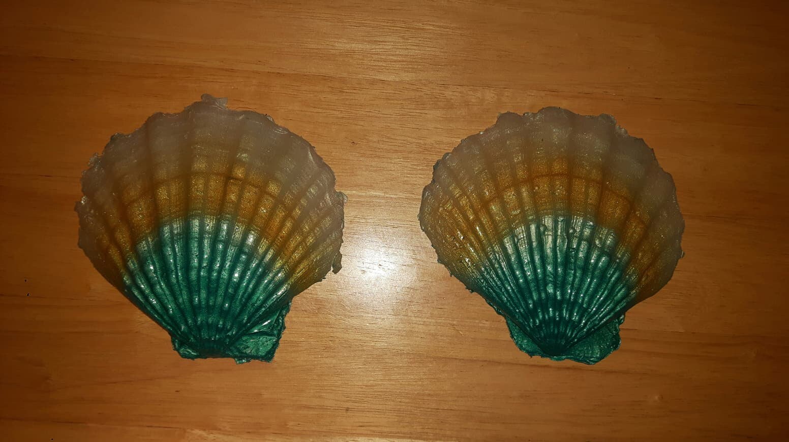 Silicone Lion Paw Shells - Etsy