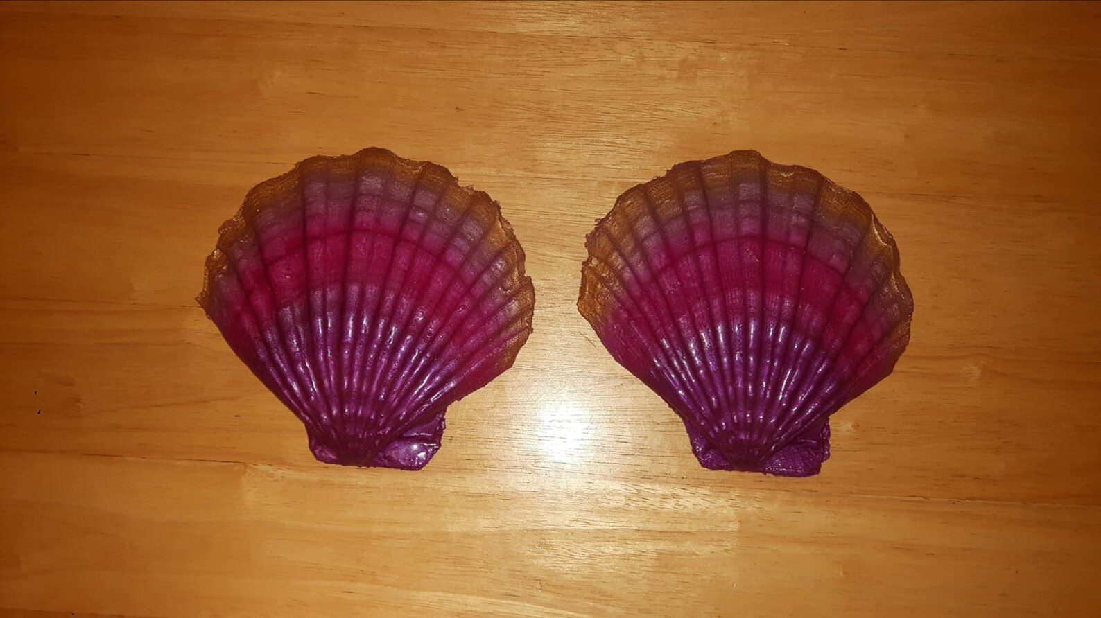 Silicone Lion Paw Shells - Etsy