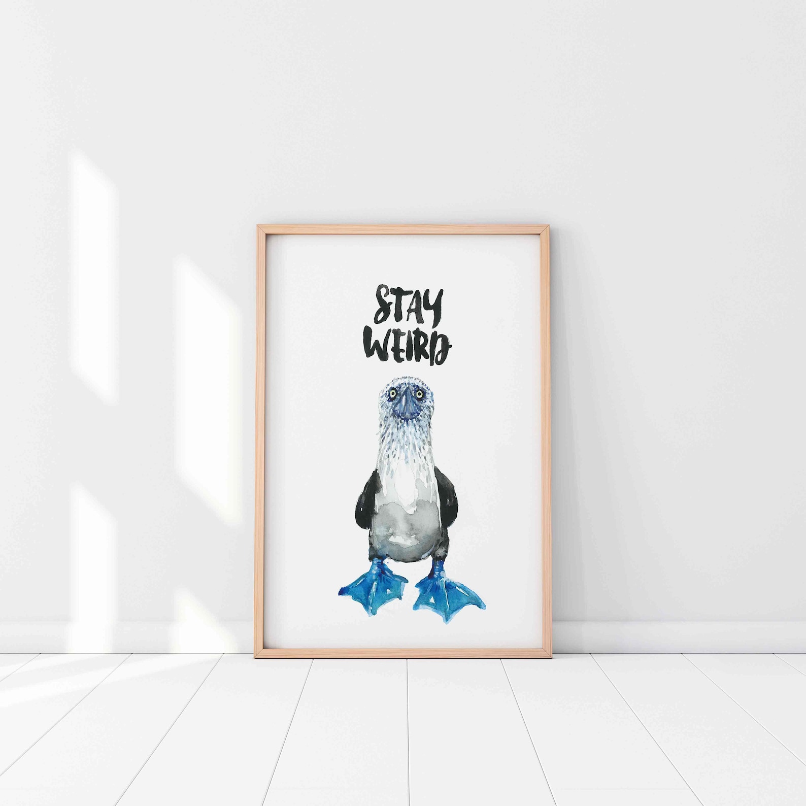 Funny Bird, Blue Footed Bobby, Bird Print, Fine Art Print, Animal Print ...