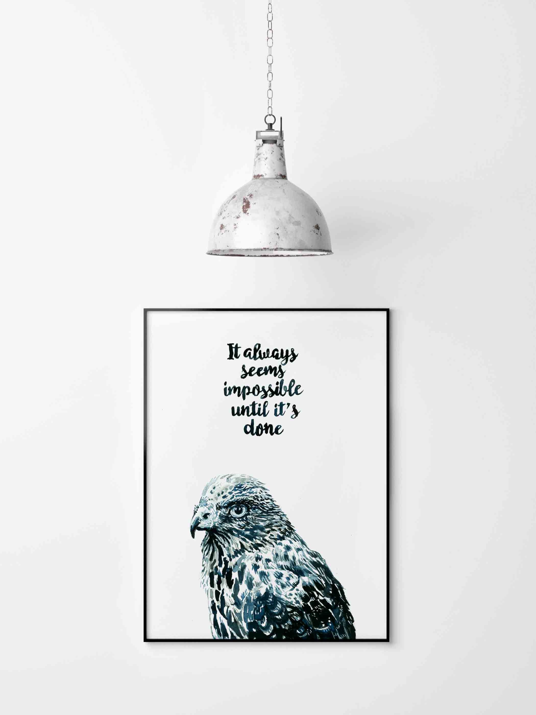 Hawk, 29,7x42 Cm, Hawk Print, Falke, Fine Art, Hawk Bird, Animal Print ...