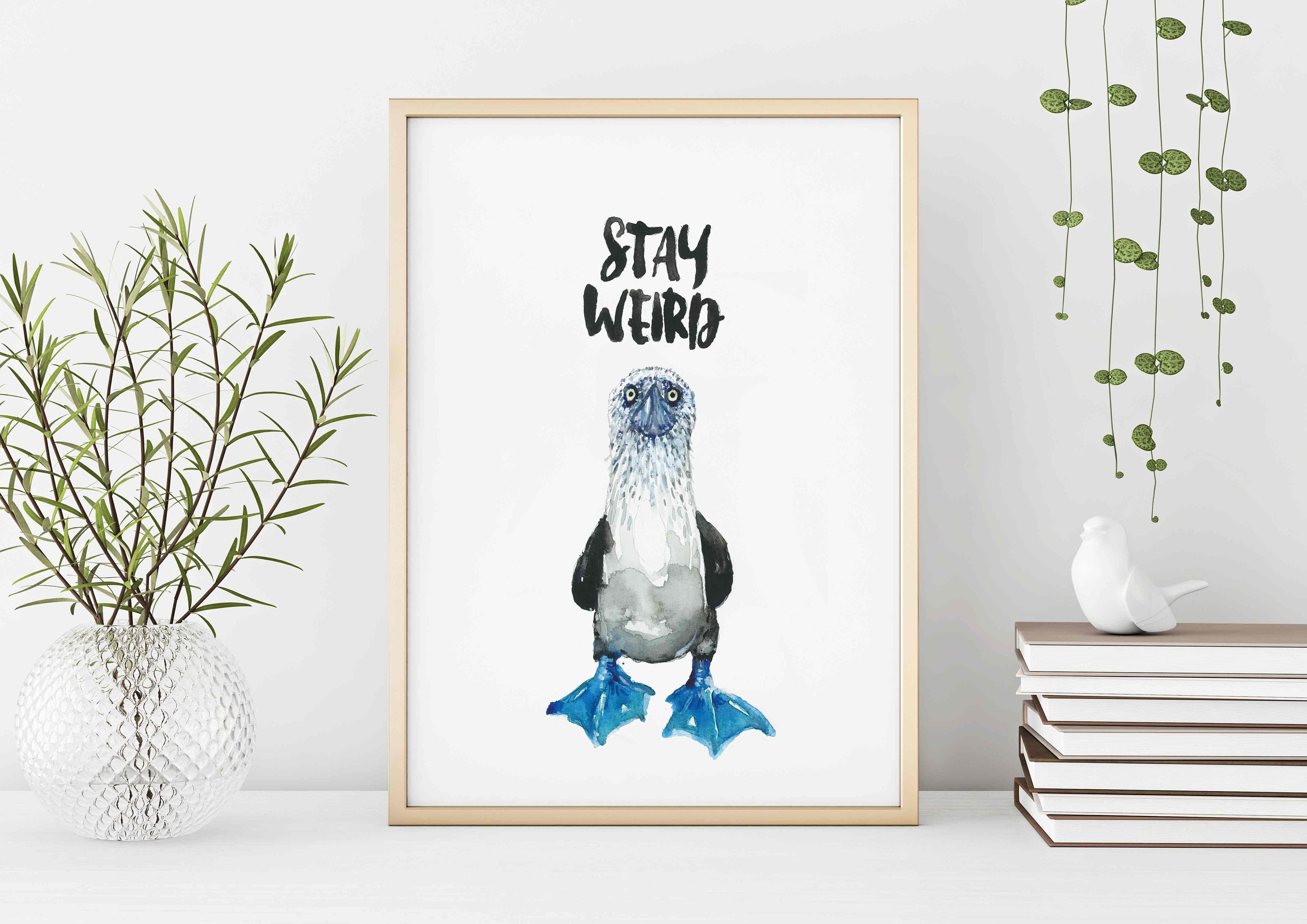 Funny Bird, Blue Footed Bobby, Bird Print, Fine Art Print, Animal Print ...