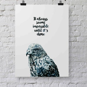 Hawk, 29,7x42 Cm, Hawk Print, Falke, Fine Art, Hawk Bird, Animal Print ...
