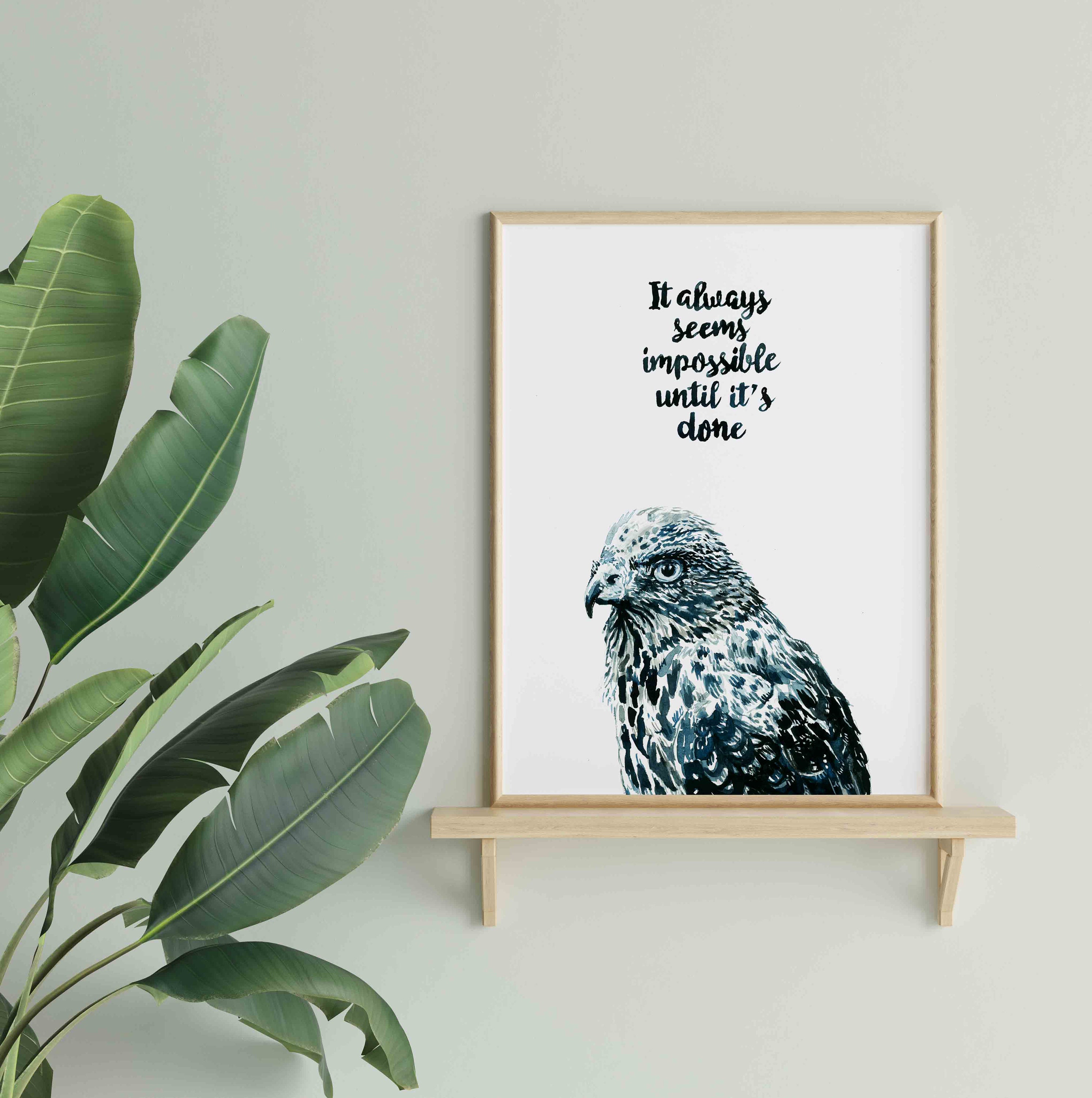 Hawk, 29,7x42 Cm, Hawk Print, Falke, Fine Art, Hawk Bird, Animal Print ...