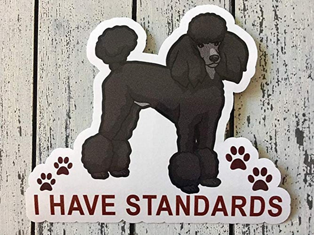 Black Silver Standard Poodle I HAVE STANDARDS - Etsy