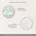 Our Favourite People Seating Chart, Travel Wedding Seating Plan ...