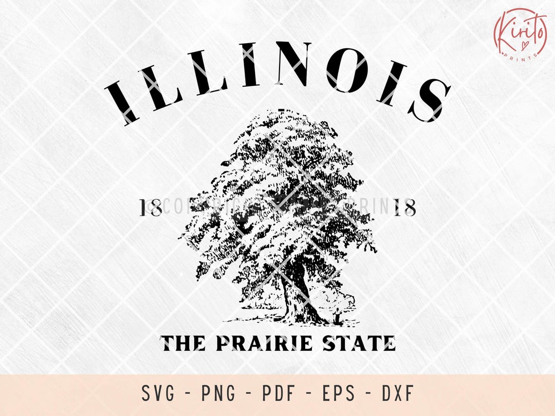 Illinois State Outline SVG: US State Files for Cricut (digital Download ...