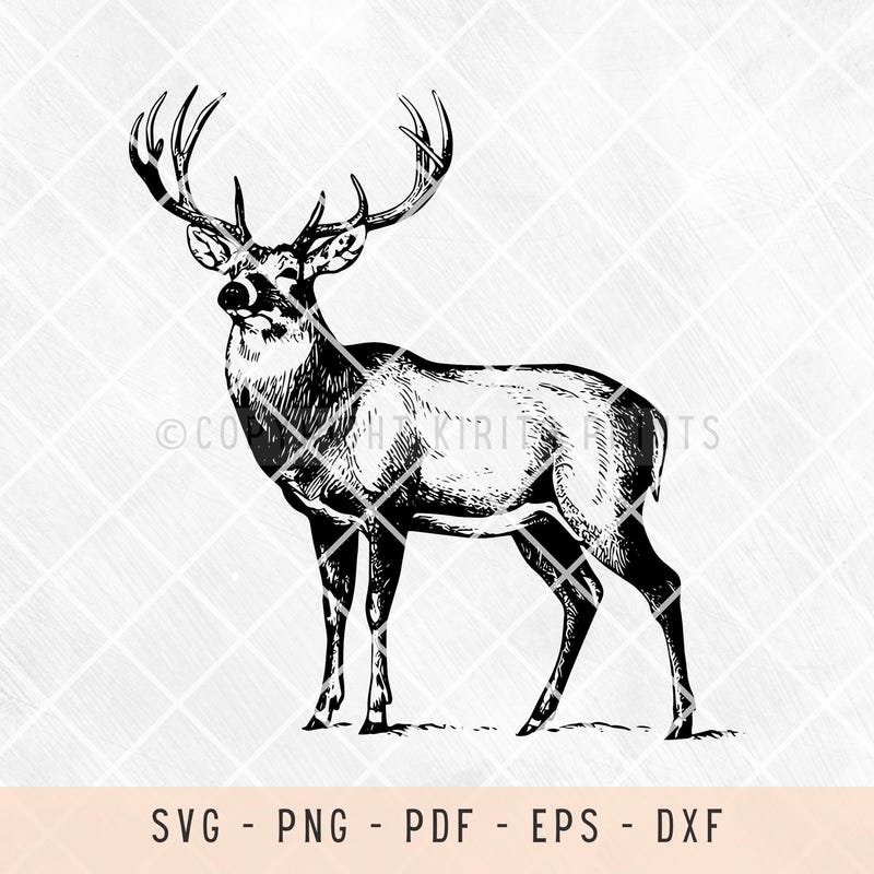 Whitetail Deer Svg - Etsy