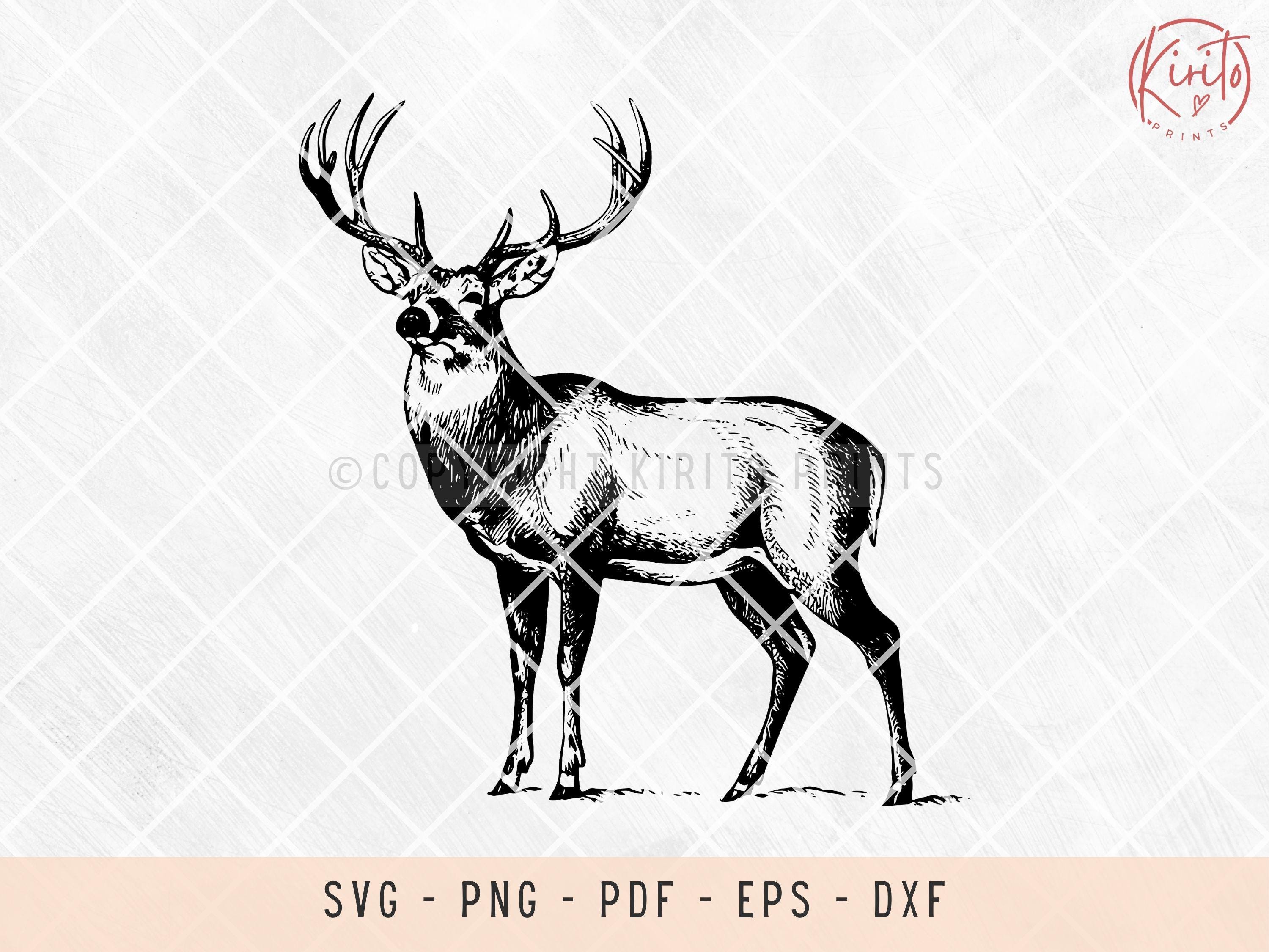 Whitetail, Deer Hunting, Deer Svg, Whitetail Deer Hunting, Hunting Svg ...