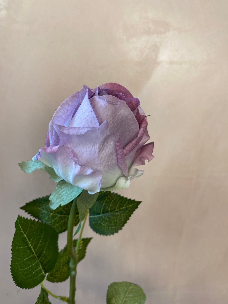 Realistic Real Touch Purple Rose Stem Individual Display or Part of a ...