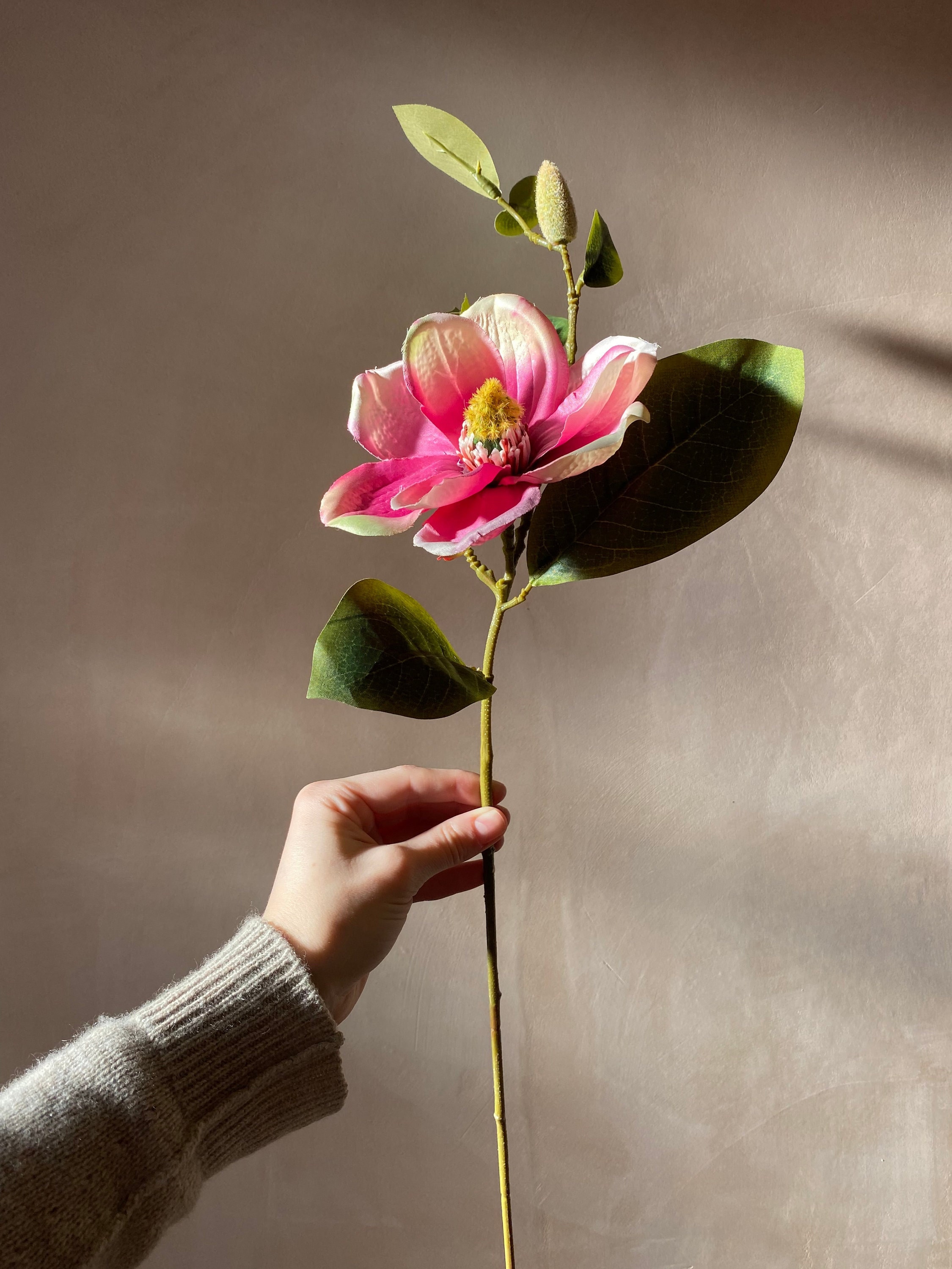 Pink Magnolia Flower