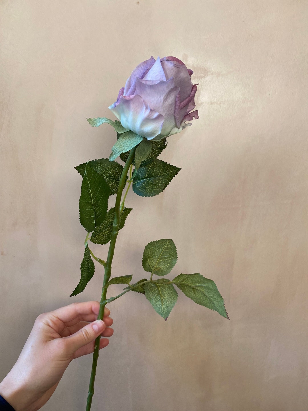 Realistic Real Touch Purple Rose Stem Individual Display or Part of a ...