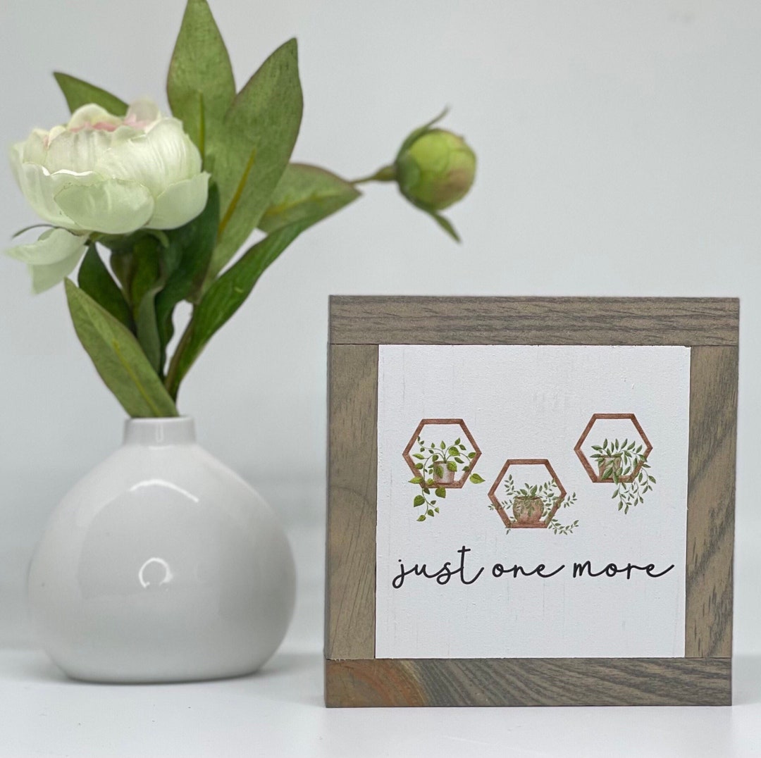 Just One More Sign Plant Lover Sign Cactus Decor Small Wood - Etsy