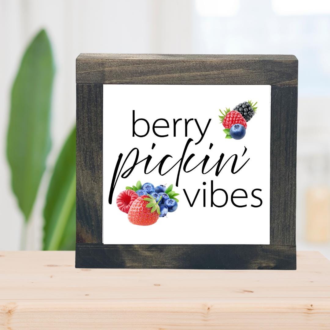 Berry Pickin' Vibes Sign, Summer Season Decor, Gift for Garden Lover ...