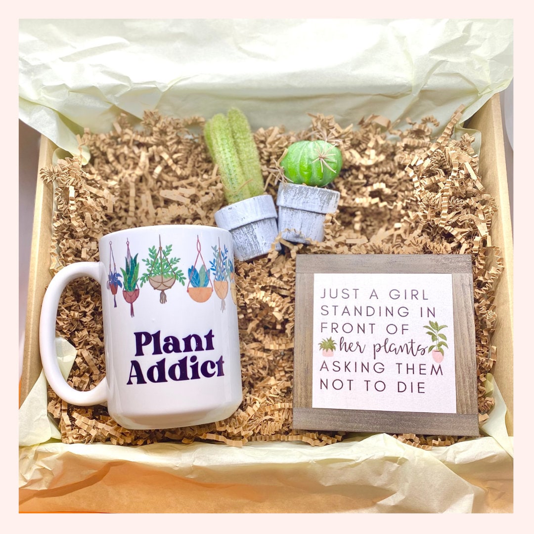 Plant Lady Gift Box, Plant Lover Gift, Plant Enthusiast Mug, Plant Desk ...
