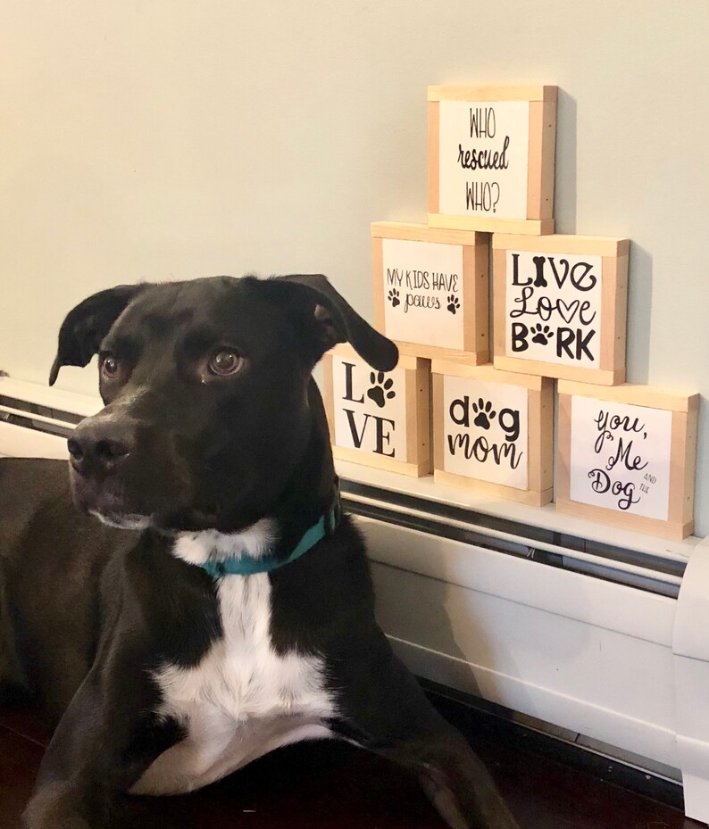 Dog Lover Sign Small Wood Sign Pet Lover Dog Mom Decor | Etsy