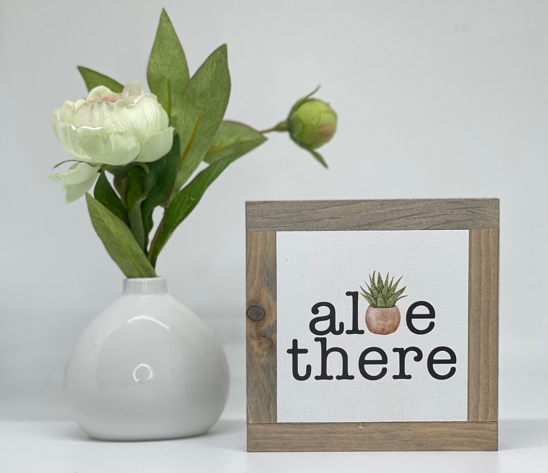 Aloe There Sign, Plant Lover Sign, Cactus Birthday Gift, Small Wood ...