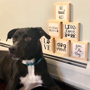 Work Hard for Dog Sign Pet Life Decor Pet Lover Gift Dog | Etsy