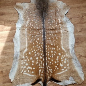 Amazing Unique European Fallow Deer Hides 100% Natural XL Size, Unique ...