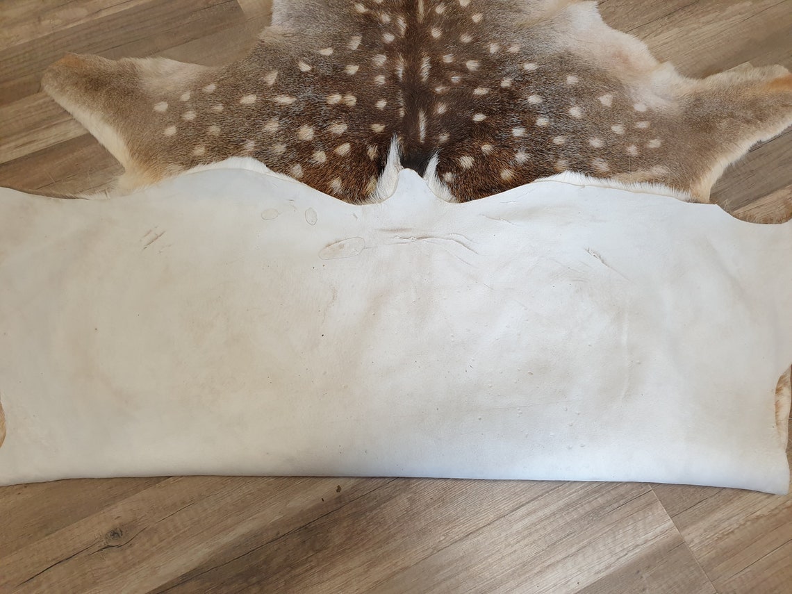 European Fallow Deer Hides 100% Natural XL Size - Etsy