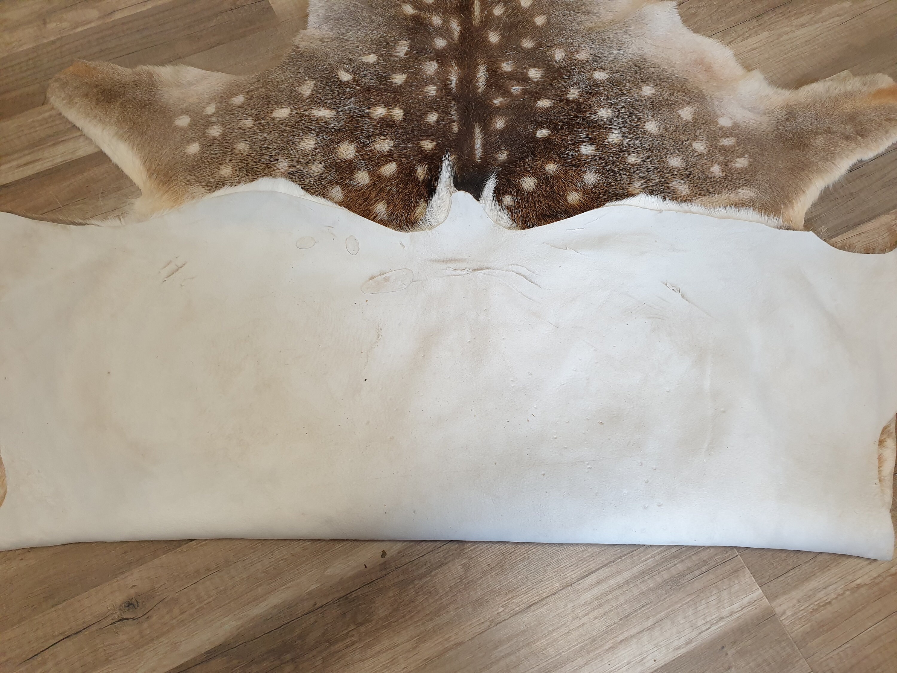 European Fallow Deer Hides 100% Natural XL Size - Etsy