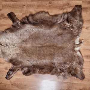 Giant Reindeer Rug Decorative Hide of Scandinavian Reindeer, Damaged ...