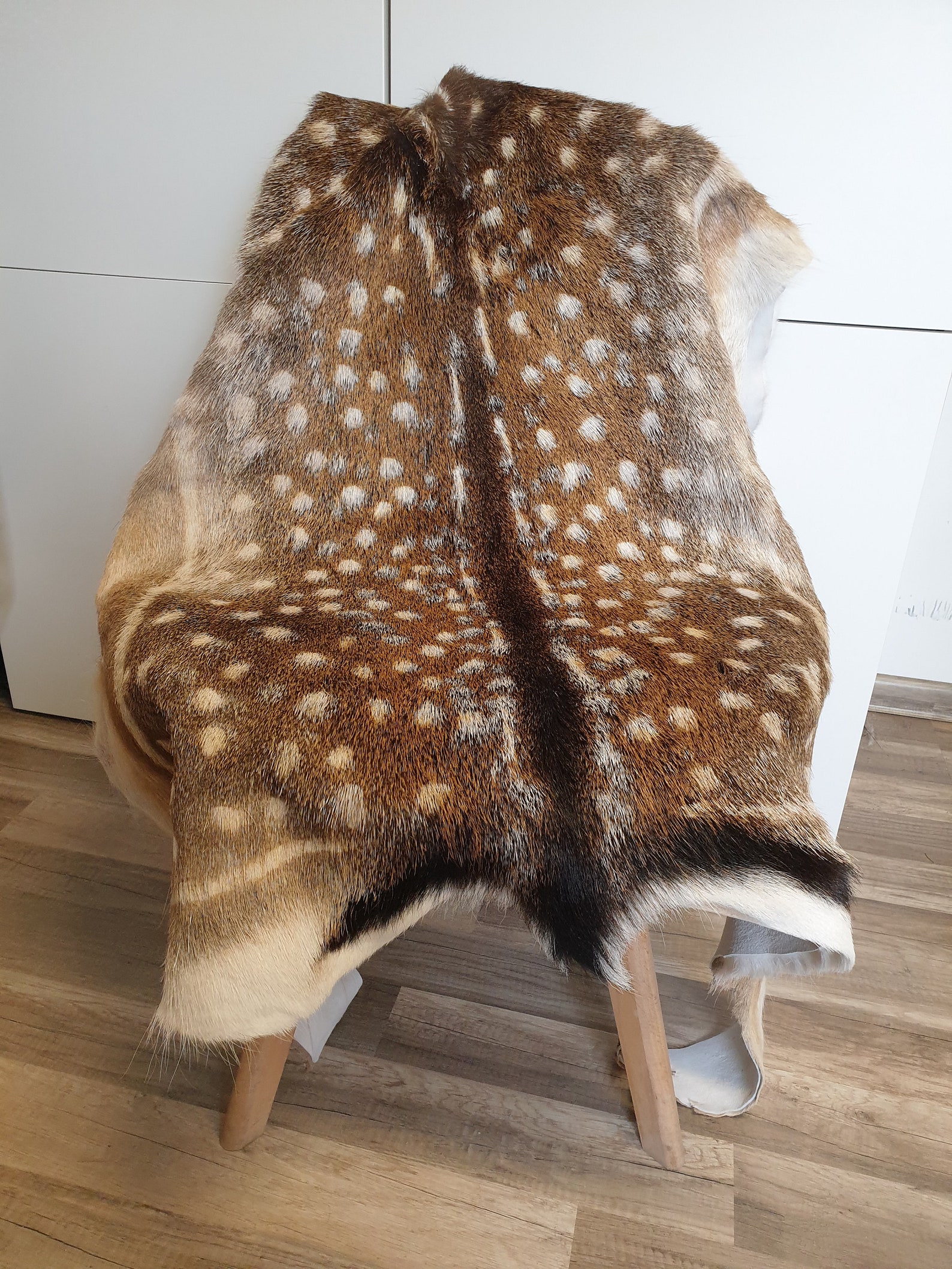 European Fallow Deer Hides 100% Natural XL Size, Beautiful Decoration ...