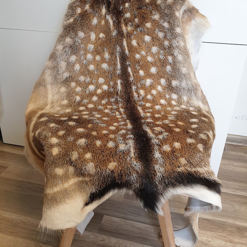 Whitetail Deer Hide - Etsy