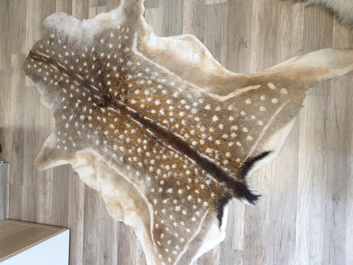European Fallow Deer Hides 100% Natural XL Size, Beautiful Decoration ...