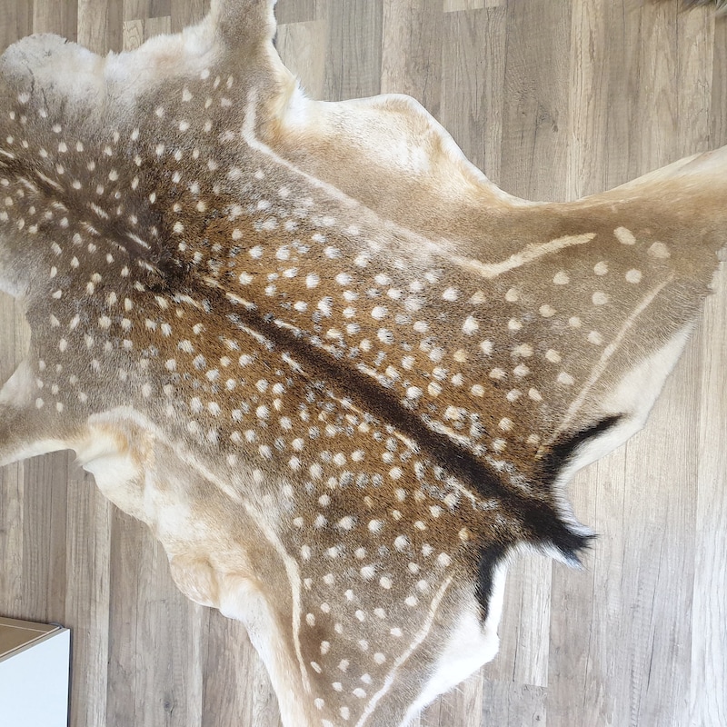 Deer Hide - Etsy