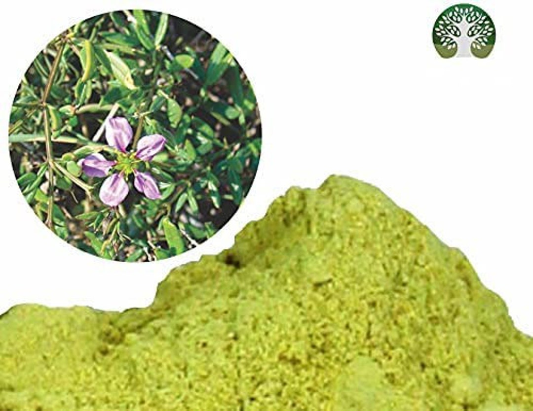 Dhamasa Dhamaso Powder Fagonia Arabica 100 % Pure and Fresh 100 Gram Uk ...