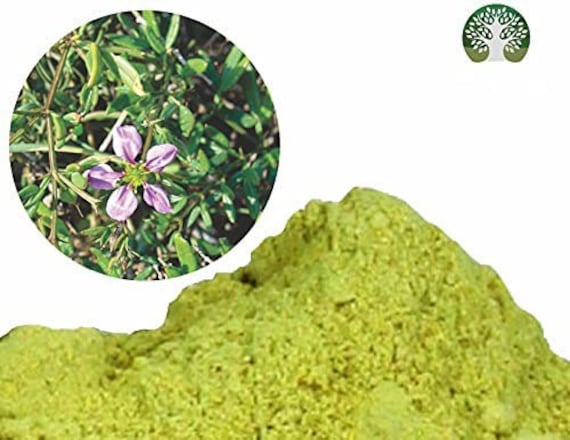 Dhamasa Dhamaso Powder Fagonia Arabica 100 % Pure and Fresh - Etsy