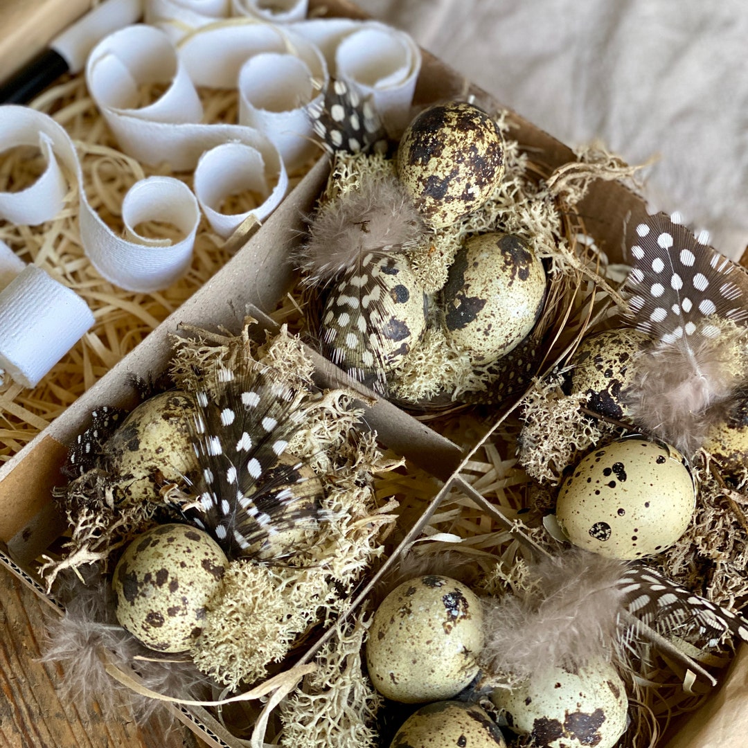 Four Handmade Miniature Nests With Real Blown Quail Eggs Easter Decorations Place Names - Etsy UK