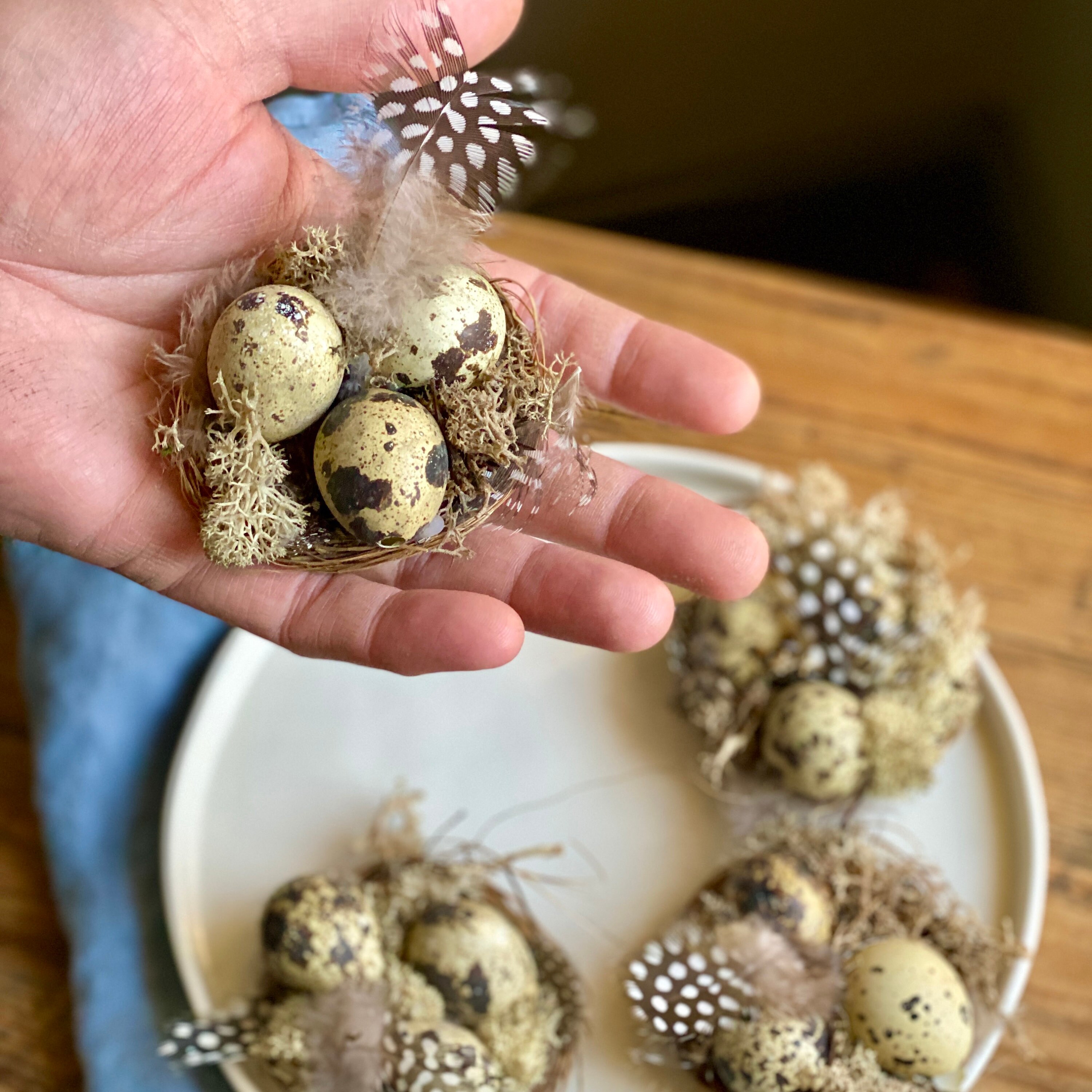 Four Handmade Miniature Nests With Real Blown Quail Eggs - Etsy UK
