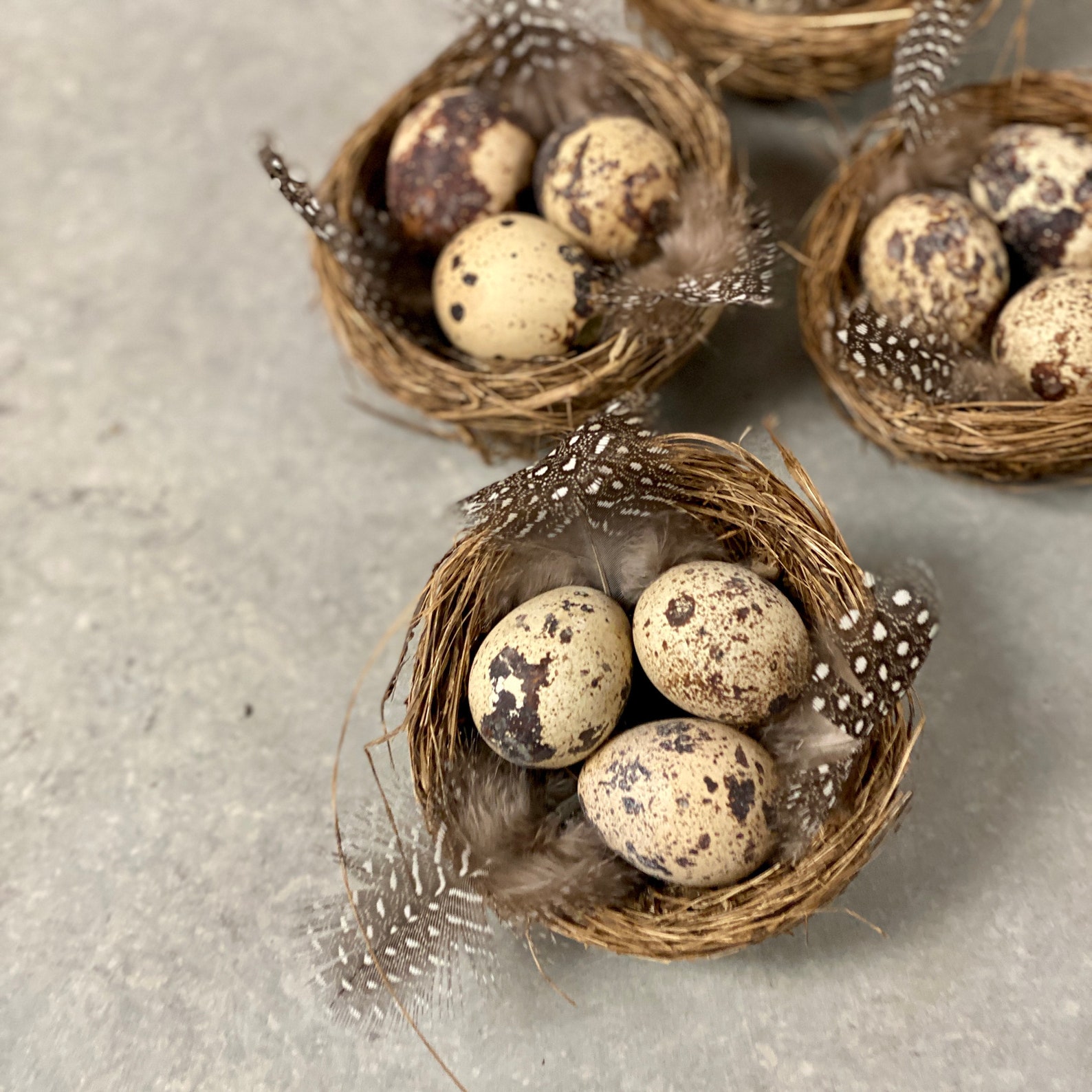 Four Handmade Miniature Nests With Real Blown Quail Eggs | Etsy UK
